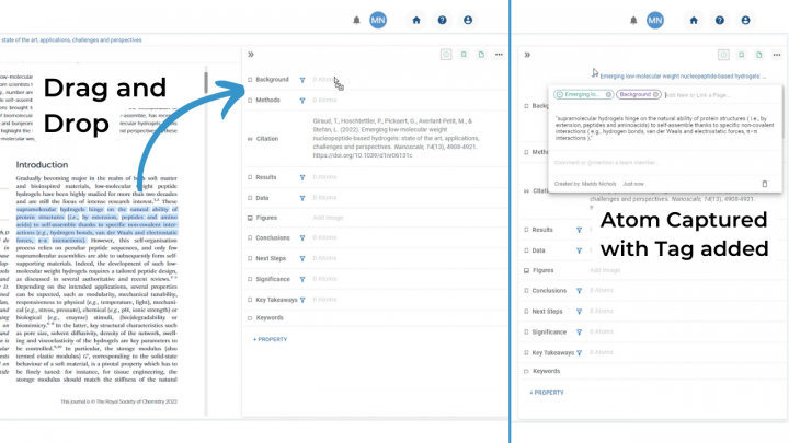 Organising your Research Notes Efficiently on Protolyst - Protolyst